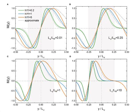 Distribution Of The Odd Eigenfunction M S W ′ Xy ′ And Its