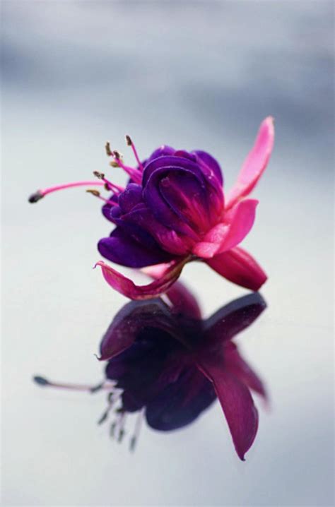 Aimée Aimeer2022 Twitter