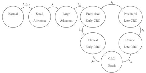 State Transition Diagram Of The Nine State Microsimulation Model Of The Download Scientific