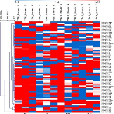 Hierarchical Cluster Analysis Of Deregulated Mirna Expression In L