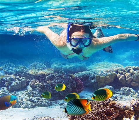 Turks And Caicos Map Mural 2025 All You Should Know Before You Go