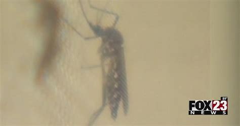 Tulsa County Health Department Tracking Mosquitoes For West Nile Virus