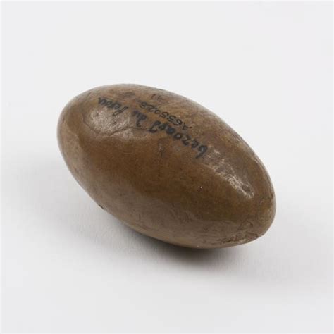 Brown Ellipsoidal Bezoar Stone Science Museum Group Collection