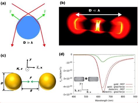 Optical Forces Near Plasmonic Nanostsructures A Optical Forces On A