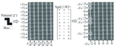 Single Layer Perceptron Implemented Using 10 × 6 Memristor Crossbar Array Download Scientific