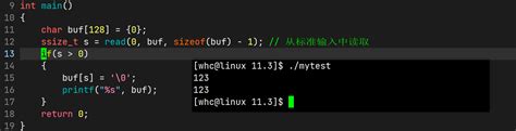 Linux基础io二：深入理解linux文件描述符write Fd0 程序写入标准输入 Csdn博客