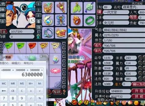 梦幻西游630万打造全服第一精锐女儿 跪着看完全部数据