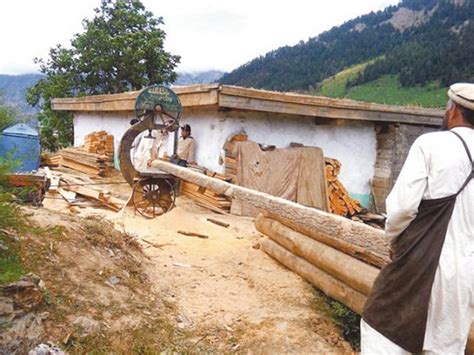 Going Green No Tolerance For Illegal Cutting Of Trees