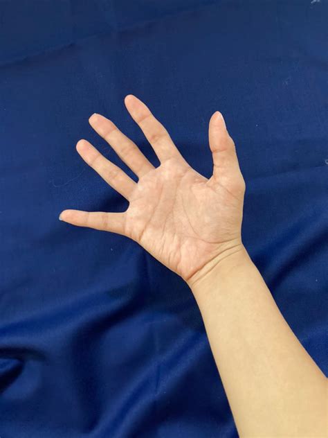 Rock Paper Scissors Object Detection Dataset By Patinya