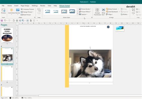 Desktop Publishing Software