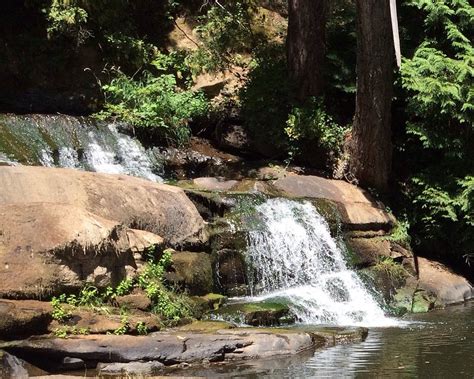 The 10 Best Parks And Nature Attractions In Nanaimo 2026