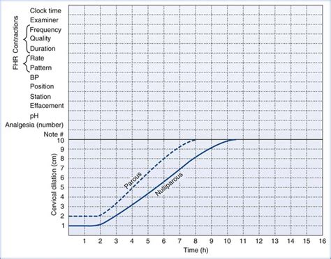 Obstetric Management Of Labor And Vaginal Delivery Obgyn Key