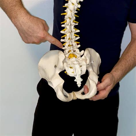 Understanding How To Care For Your Lower Back