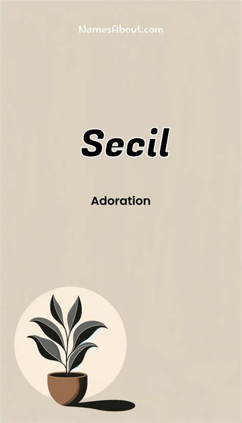 Secil Name Meaning And Origins Nicknames Sibling Ideas