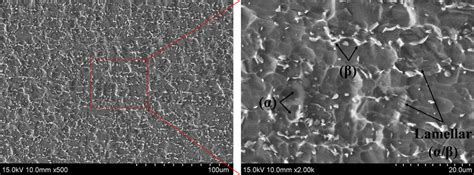 Sem Image Of The Ti 6al 4 V Alloy Before Machining Download Scientific Diagram