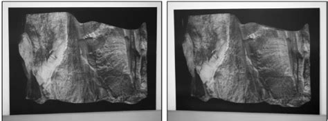 Sample Images From A Camera Moving Along Linear Path Note The Parallax