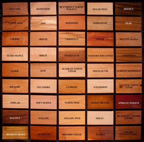 Wood Species Oak Red Cedar Pine Alder Cherry Hickory Maple Walnut Sassafras Red Elm Hackberry