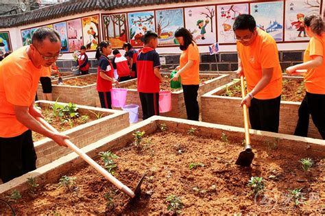 罗平东屏小学开辟劳学基地 让学生体验劳动的快乐 曲靖珠江网