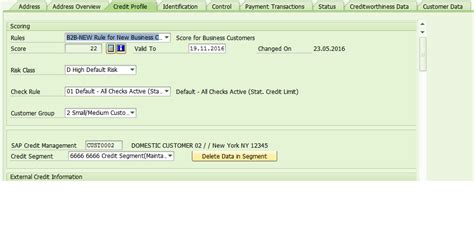 Credit Segment Is Empty In Bp Sap Community