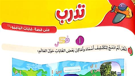 حل تدريبات درسغابات البامبووحل تدريبات الأضواءلغة عربيةالصف٣ترم١