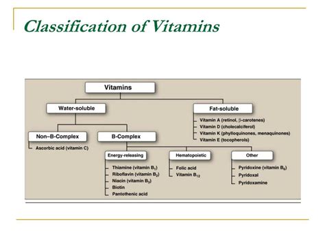 Multivitamins Classification At Evelyn Saltsman Blog