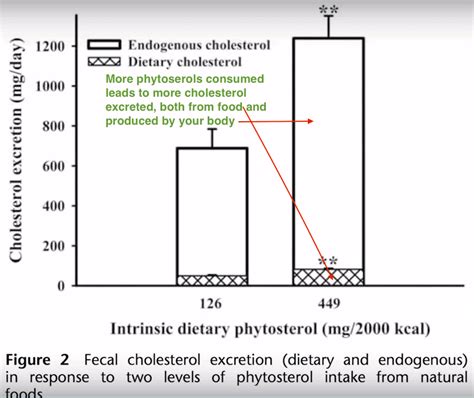 Why Your Ldl Cholesterol Particle Size Determines Your Heart Disease Risk And What To Do About Why Your Ldl Cholesterol Particle Size Determines Your Heart Disease Risk And What To Do About
