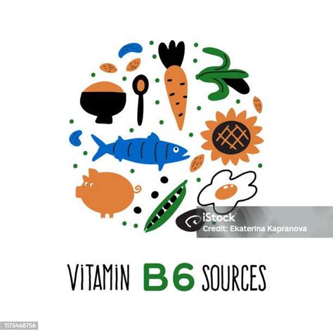 비타민 B 6 음식 소스 피리 독신 벡터 만화 일러스트레이션입니다 둥근 구성 건강한 생활방식에 대한 스톡 벡터 아트 및 기타 이미지 건강한 생활방식 건강한 식생활 0