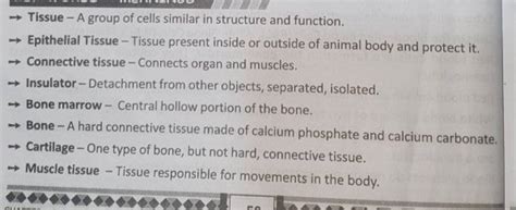 Tissue A Group Of Cells Similar In Structure And Function Epitheli