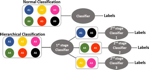 example of conventional and hierarchical classification download