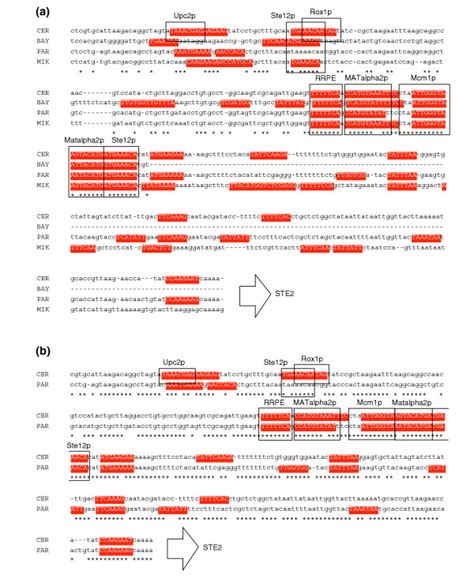 Partial Representation Most Proximal Region Of The Aligned 1 Kb