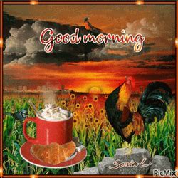 Rooster S Download And Share
