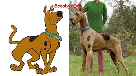 Dogs Cartoon In Real Life Superheroes In Real Life As Dogs 2017 Youtube