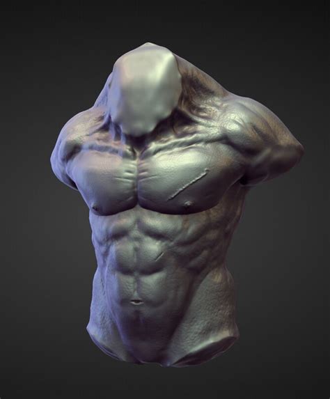 Artstation Torso1 High Poly Sculpt Resources