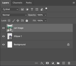 How To Add An Image To An Existing Layer In Photoshop Steps