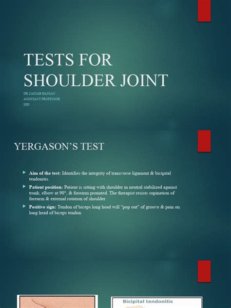 Shoulder Tests Pdf Anatomical Terms Of Motion Shoulder