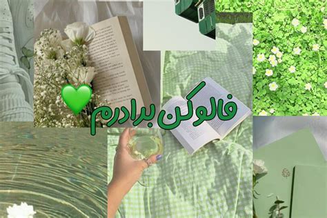 فکت از خانواده سبز تستچی