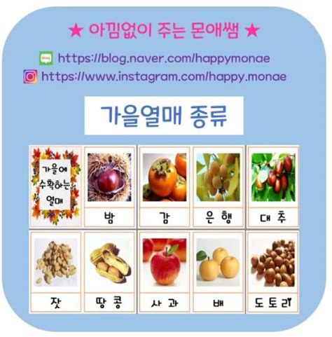 이사완료 가을에 수확하는 열매가을열매종류 네이버 블로그
