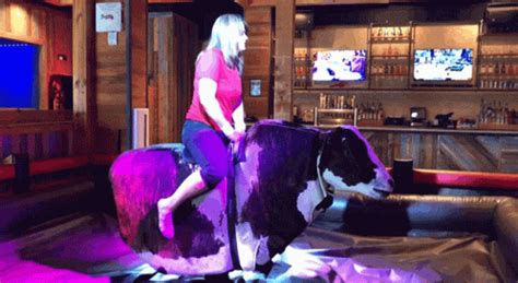 Bull Bull Riding  Bull Bullriding Mondays Discover And Share S