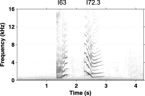 Example Spectrogram Of The Most Common Call Combination From Cluster B