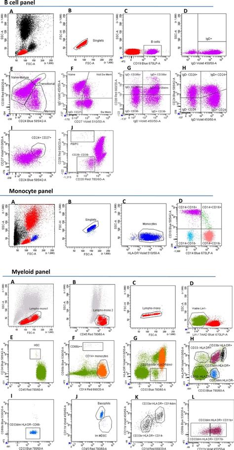 Flow Cytometry Gating Strategy Of B Cell Monocyte Myeloid Cell The