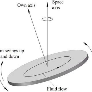 Nutation Motion A Nutation Motion Of A Disc B Nutation Motion