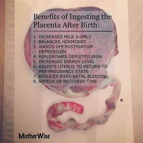 Eating Placenta Benefits