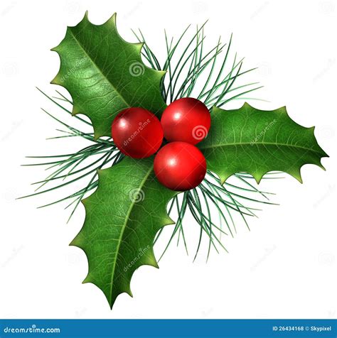 Christmas Holly Stock Illustration Illustration Of Element