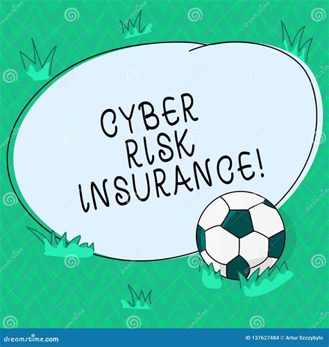 Word Writing Text Cyber Risk Insurance Business Concept For Covers