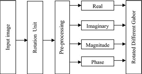 Generation Of Different Rotated Gabor Patterns Download Scientific Diagram
