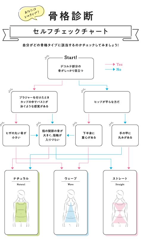 【チャートでわかる骨格診断】自分の 似合う”を見つけましょう！ Mio プラス、ミオ。