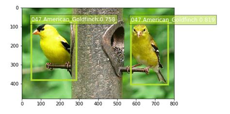 amazon sagemaker object detection for bird species — amazon sagemaker examples 1 0 0 documentation