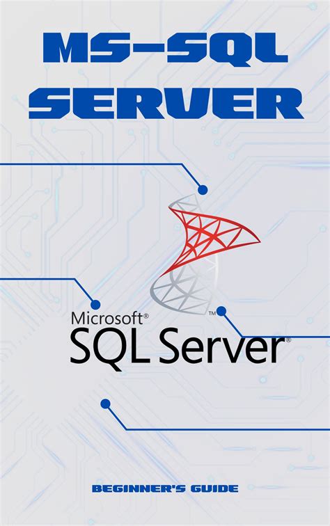 Ms Sql Server A Beginners Guide Dbameta