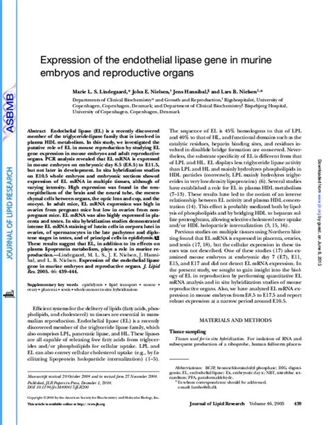 Pdf Expression Of The Endothelial Lipase Gene In Murine Embryos And