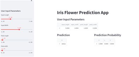 Santhana Lakshmi On Linkedin Machinelearning Datascience Datascientist Streamlit Deeplearning